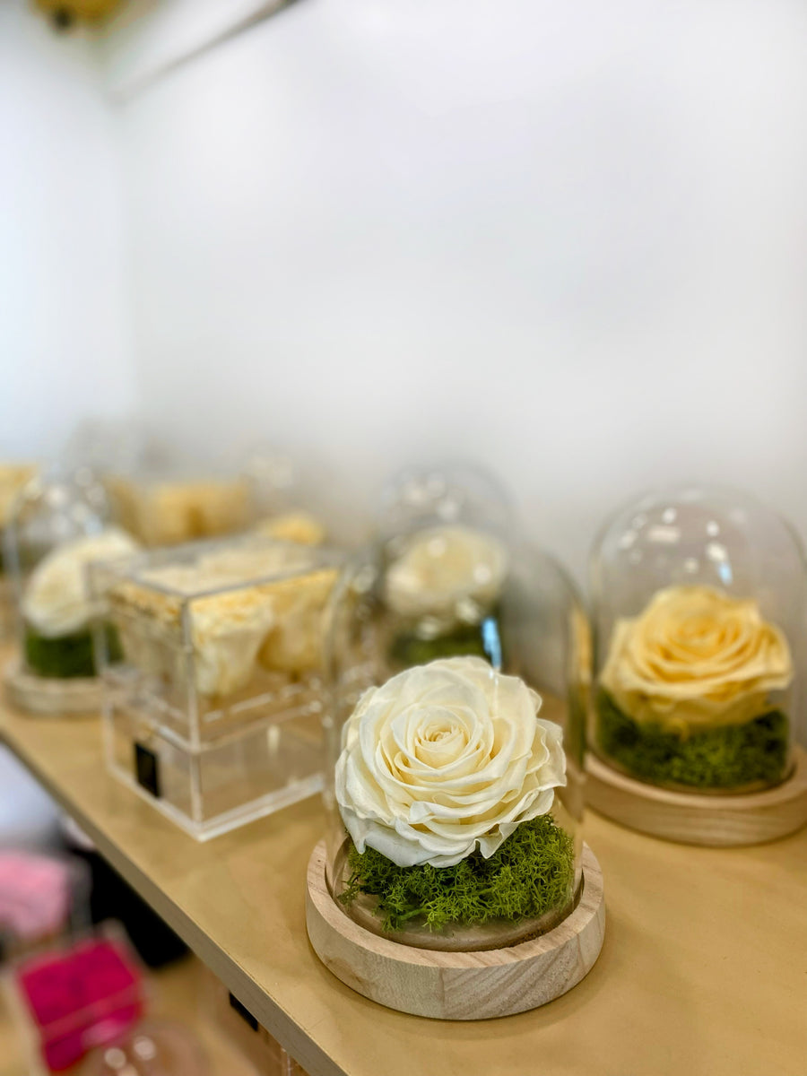 Bell Jar Eternal Rose – Fleuriste Bella Italia Inc